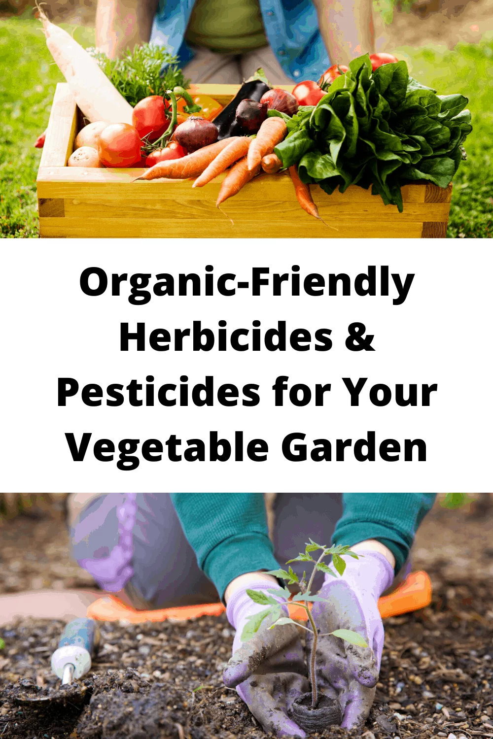 Organic-Friendly Pesticides & Herbicides for Your Vegetable Garden