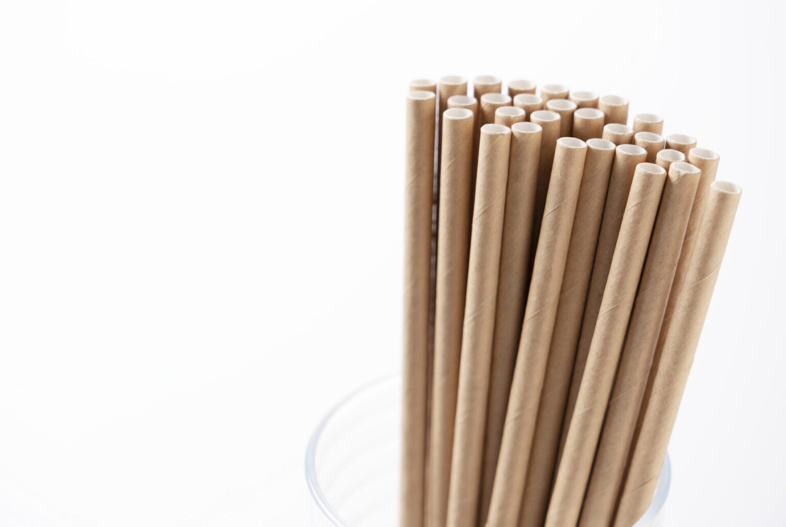 Plastic-Free Disposable Straws Tested For Indications of PFAS
