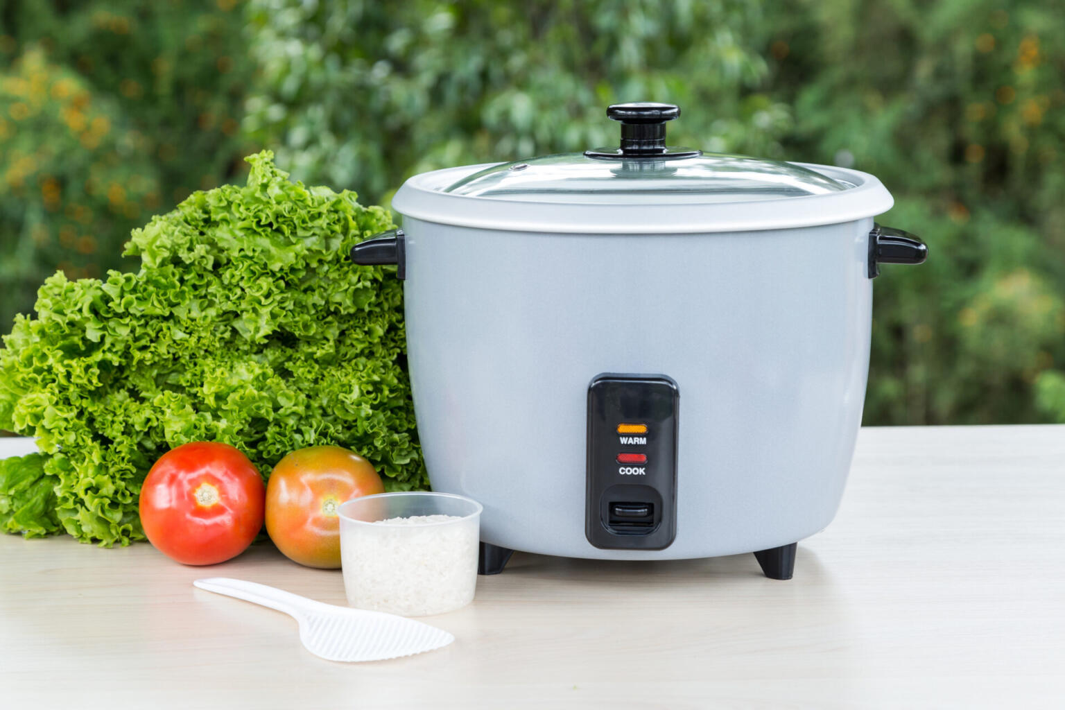 Best & (Possibly Worst) Non-Toxic Rice Cookers of 2023 - MAMAVATION